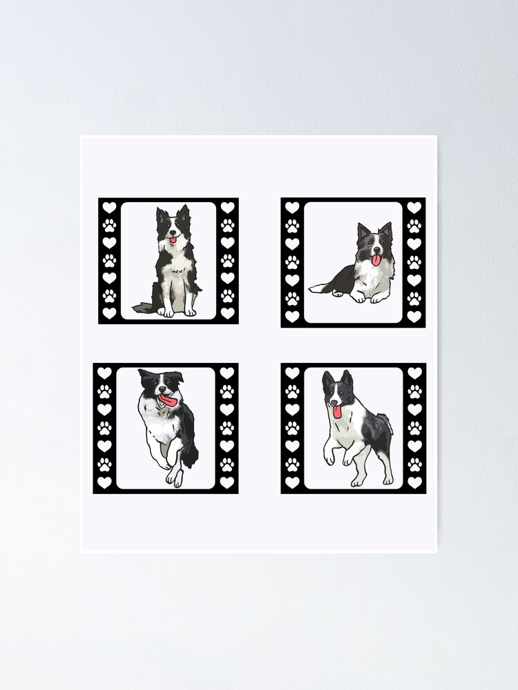 Poster « Photos de dessin animé Border Collie », par TheAnimalZ00 ...
