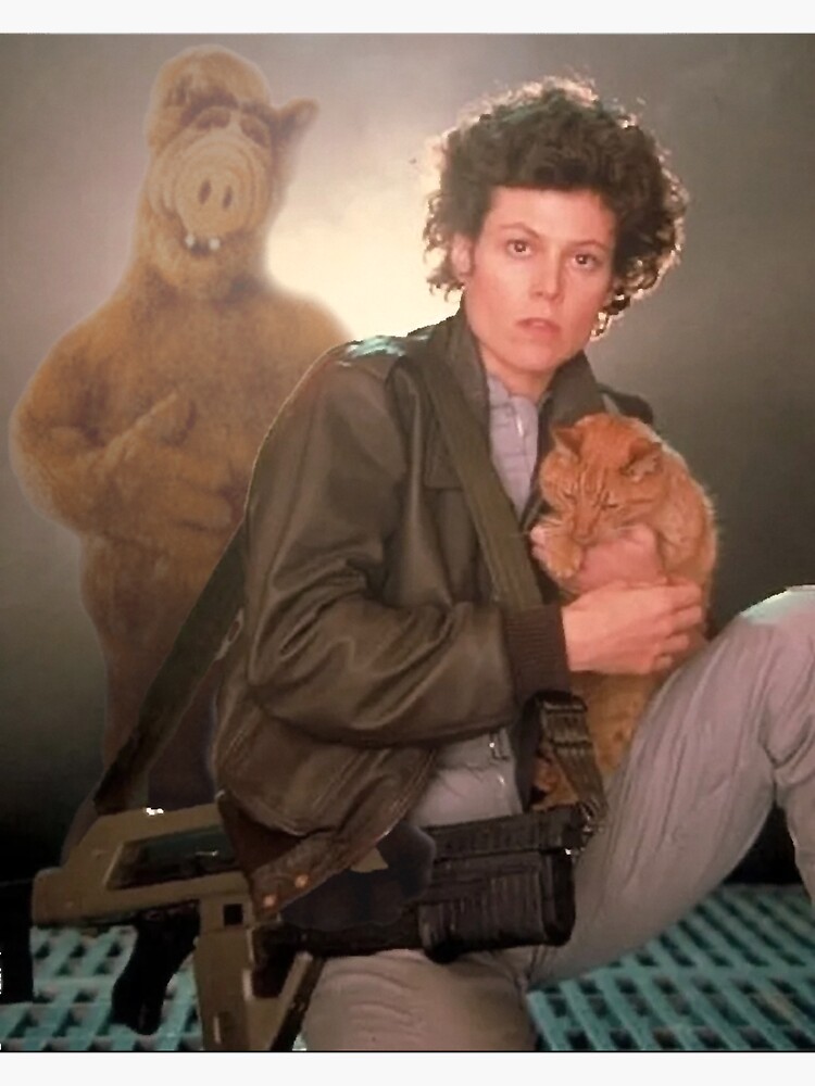 "Danger Cat" Sticker by YawNkrumah | Redbubble