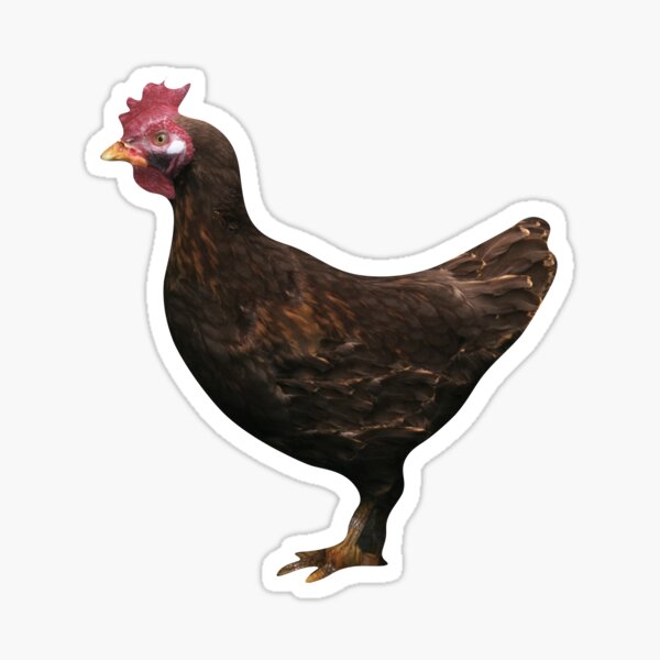 Skyrim Merch & Gifts for Sale | Redbubble