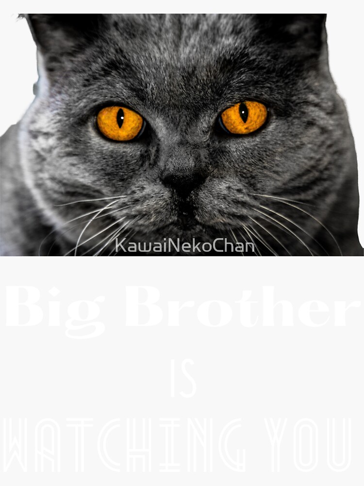 "Big Brother is Watching You!" Sticker by KawaiNekoChan | Redbubble