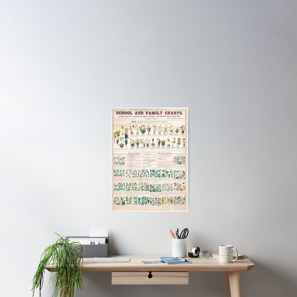 "Classification of Plants" Poster for Sale by Fiskidal | Redbubble