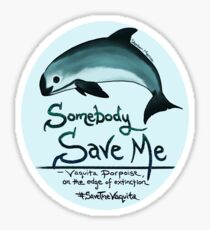 Vaquita Stickers | Redbubble
