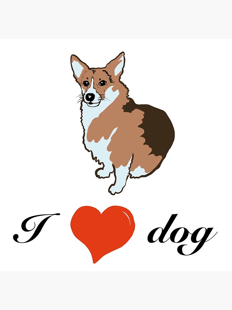 Lámina fotográfica «perro,amigo humano,amigo de cuatro patas,nariz ...