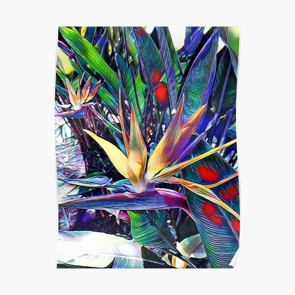Póster «Planta de ave del paraíso con flores. planta Strelitzia. Arte Fotografico.» de RV8Co ...