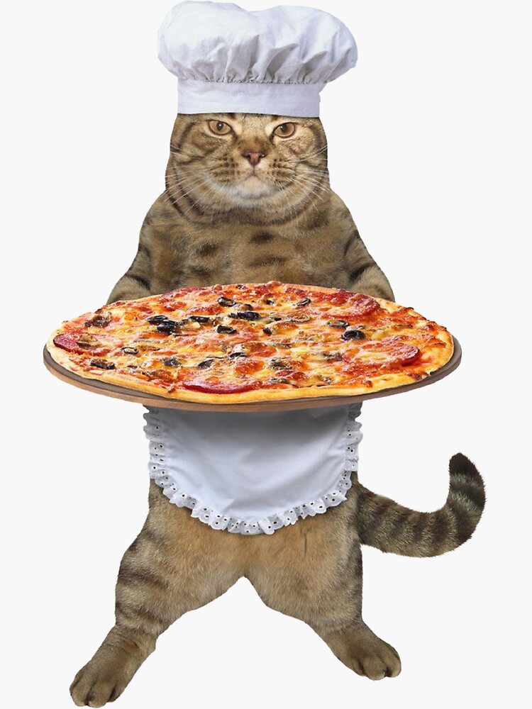 "Funny Cat Chief With Pizza" Sticker by maxfunStickers | Redbubble