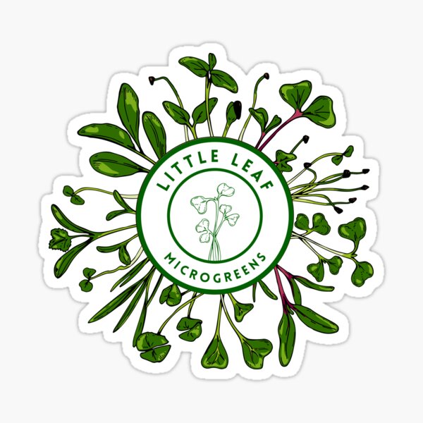"Little Leaf Microgreens" Sticker for Sale by LittleLeafMicro | Redbubble