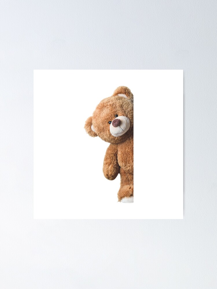 " Cute Bear" Poster for Sale by Zurani92 | Redbubble