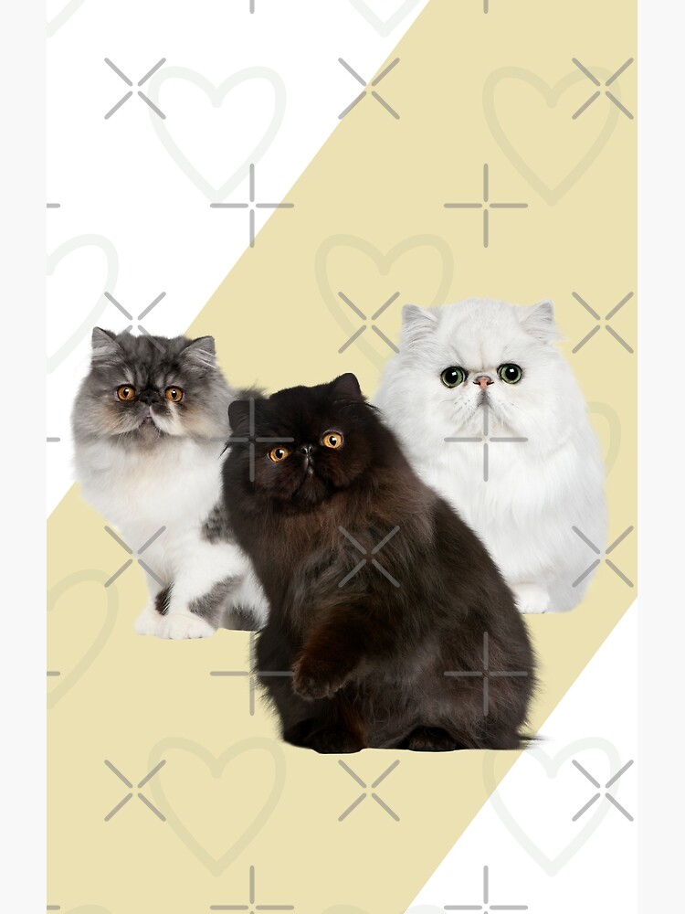"3 Cats" Poster for Sale by CuteCut | Redbubble