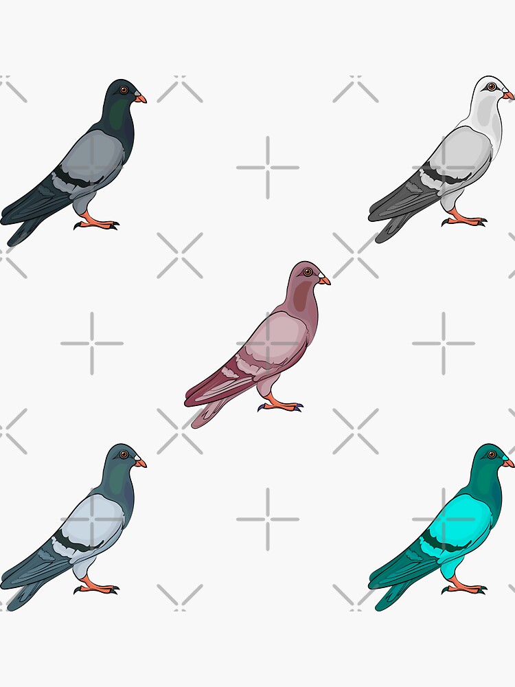 "set of stickers of doves of different colors - birds - pigeon" Sticker ...