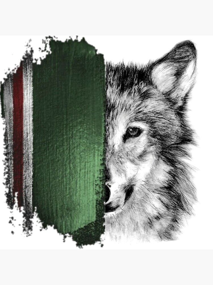 "Chechen flag with wolf" Poster by adamedil | Redbubble