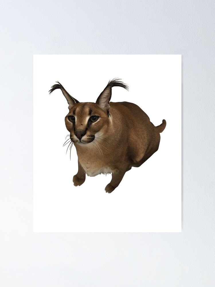 "big floppa, funny cat" Poster for Sale by Cllarashop | Redbubble