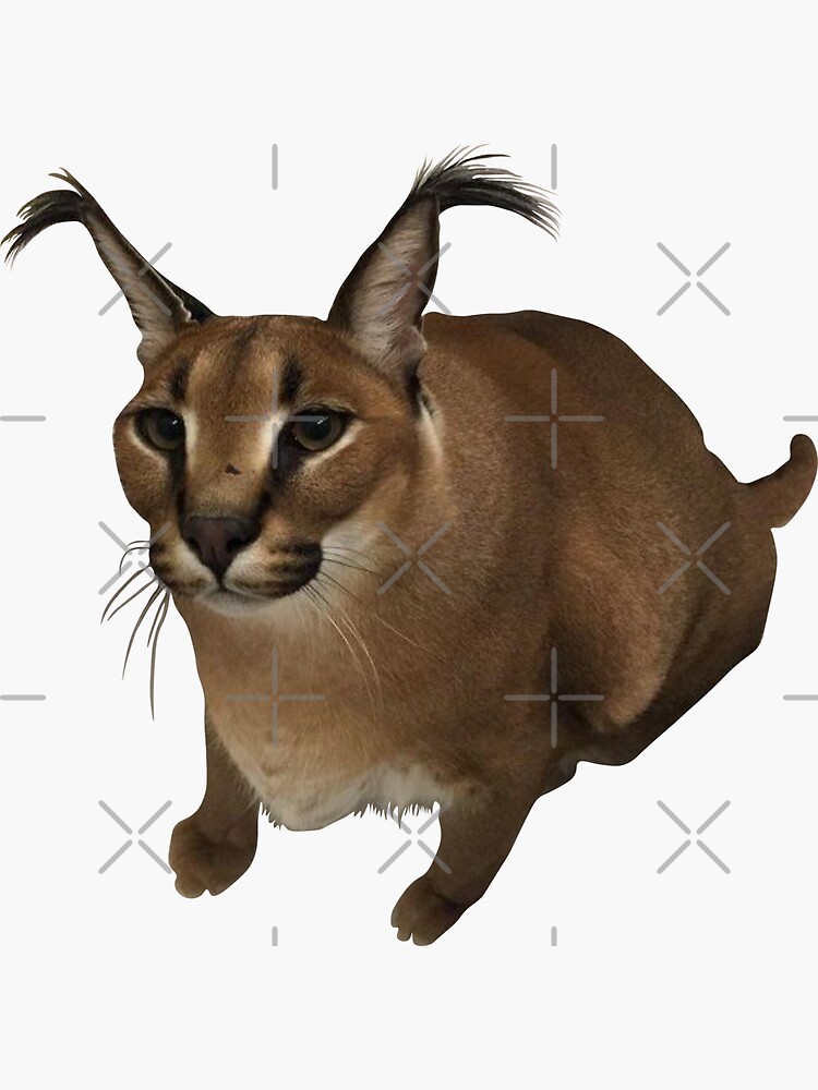 "big floppa, funny cat" Sticker by Cllarashop | Redbubble