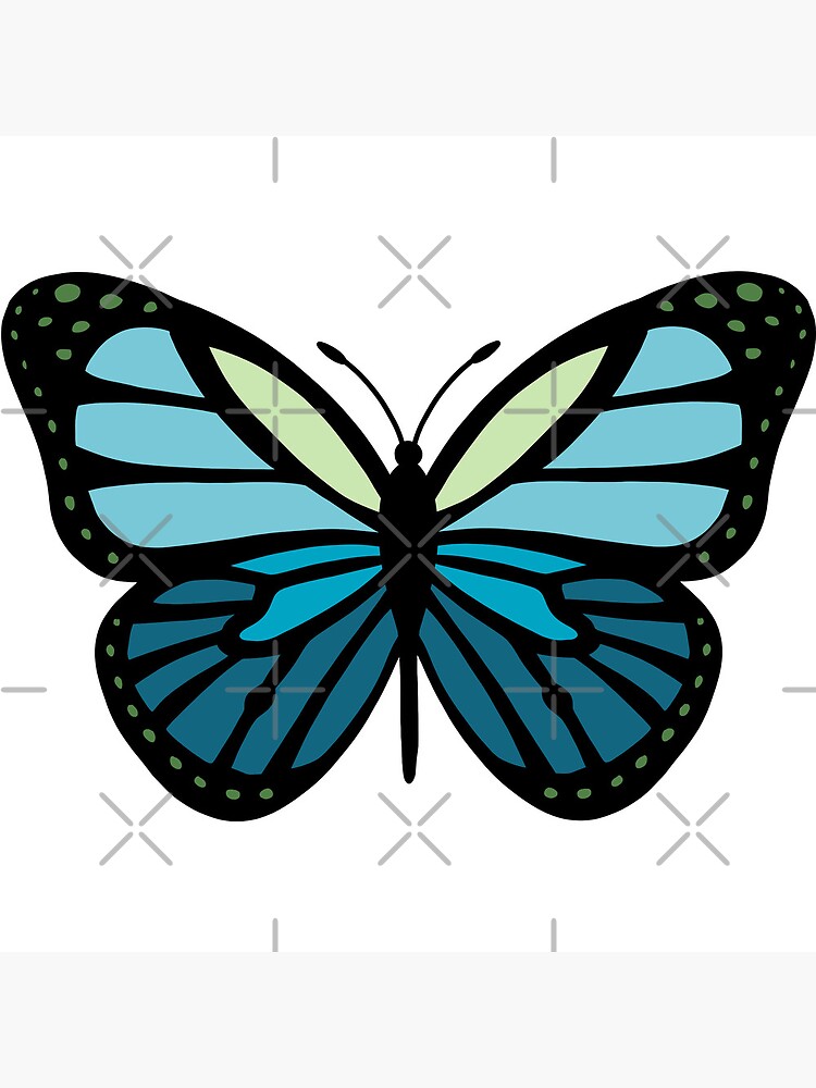 "Taylor Swift Debut Album Butterfly" Poster for Sale by sarahswiftie ...