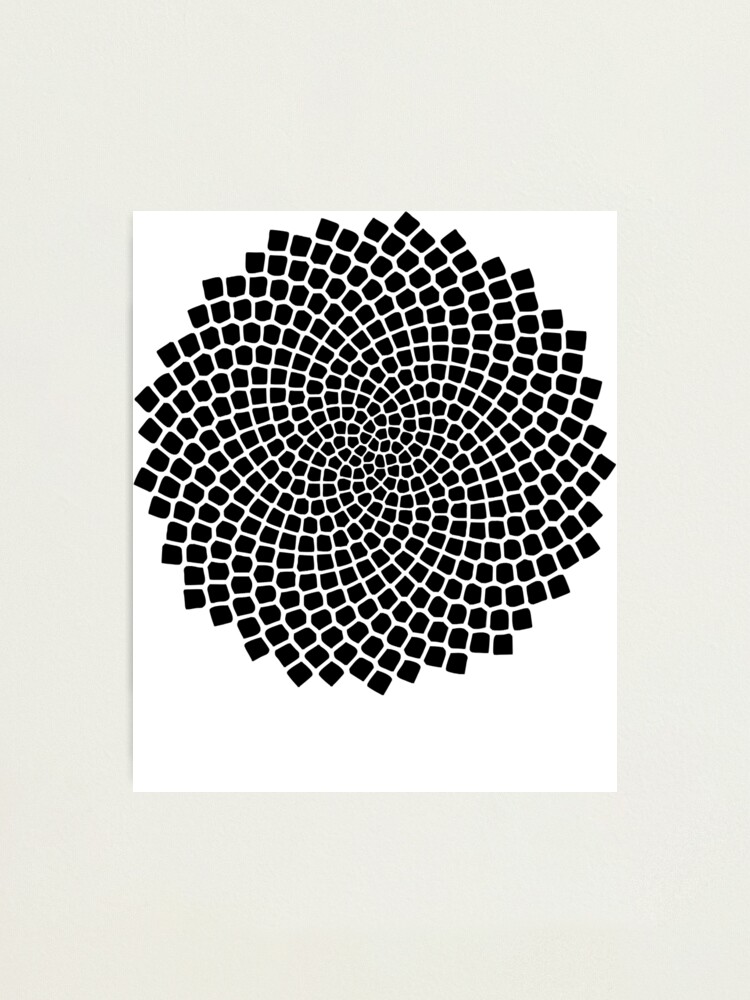 "Sunflower, Seed, Fibonacci, Spiral, Golden Ratio, Phi, Math, Mandala ...