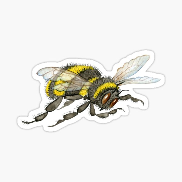 "One little buzzy bee, watercolour painting" Sticker by Mindreader ...