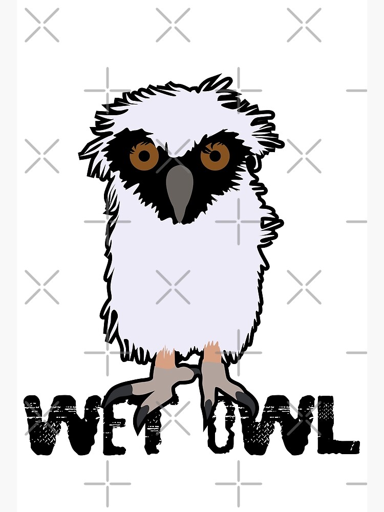 "Wet Owl Funny meme Sticker design" Poster for Sale by Raju-Creative ...