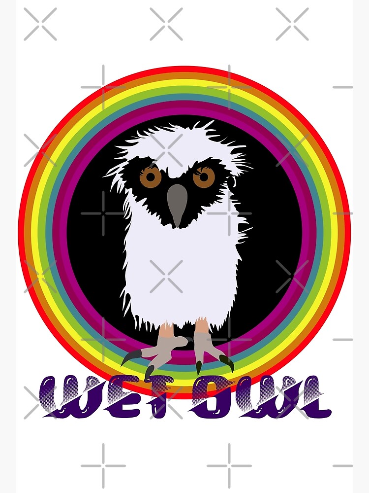 Wet Owl Meme Rainbow Sticker Design Poster For Sale By Raju Creative