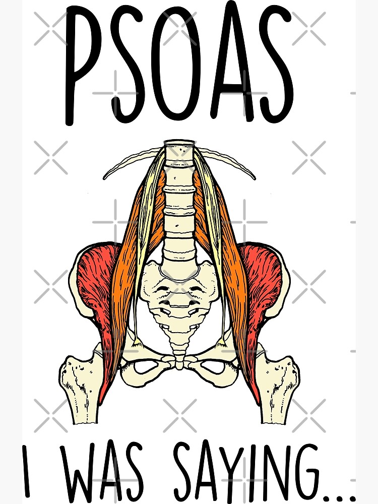 Psoas Quotes The Psoas: Muscle Of The Soul
