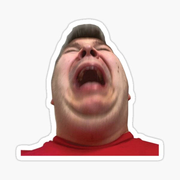 "Nikocado Avocado Meme " Sticker by Lukassfr1 | Redbubble