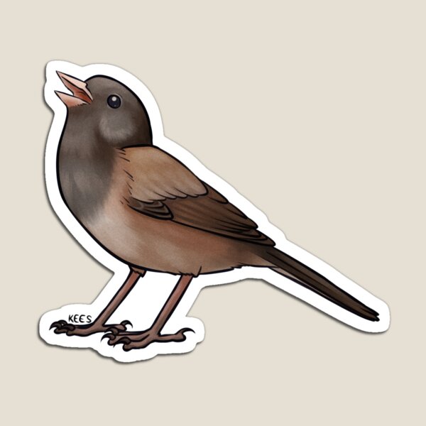 Dark Eyed Junco Gifts & Merchandise | Redbubble