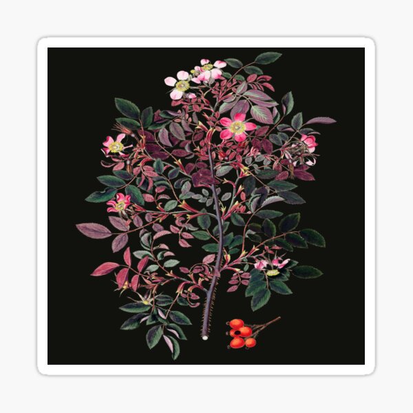 "Wild bushes of flowers" Sticker by EartWonderland | Redbubble