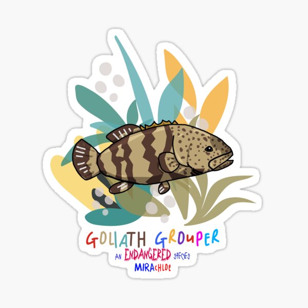 "Kids Donate to wildlife: Goliath Grouper By 5 and 7-year-old kids ...