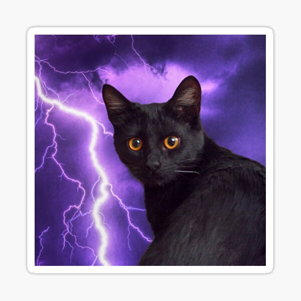 "Cat lightning" Sticker by Quotes-and-plus | Redbubble