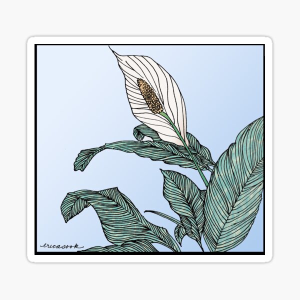 "Peace Lily" Sticker by EricaSook | Redbubble