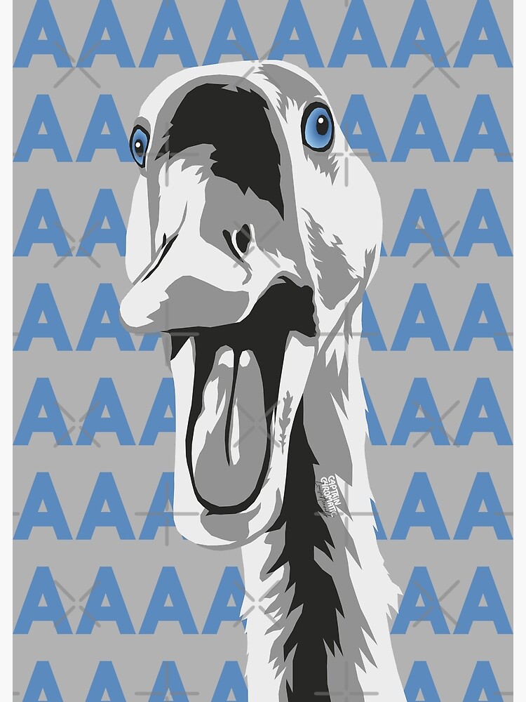 "Duck screaming portrait B&W - Print" Poster by captchromatic | Redbubble