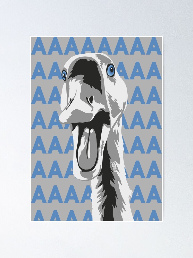 "Duck screaming portrait B&W - Print" Poster by captchromatic | Redbubble