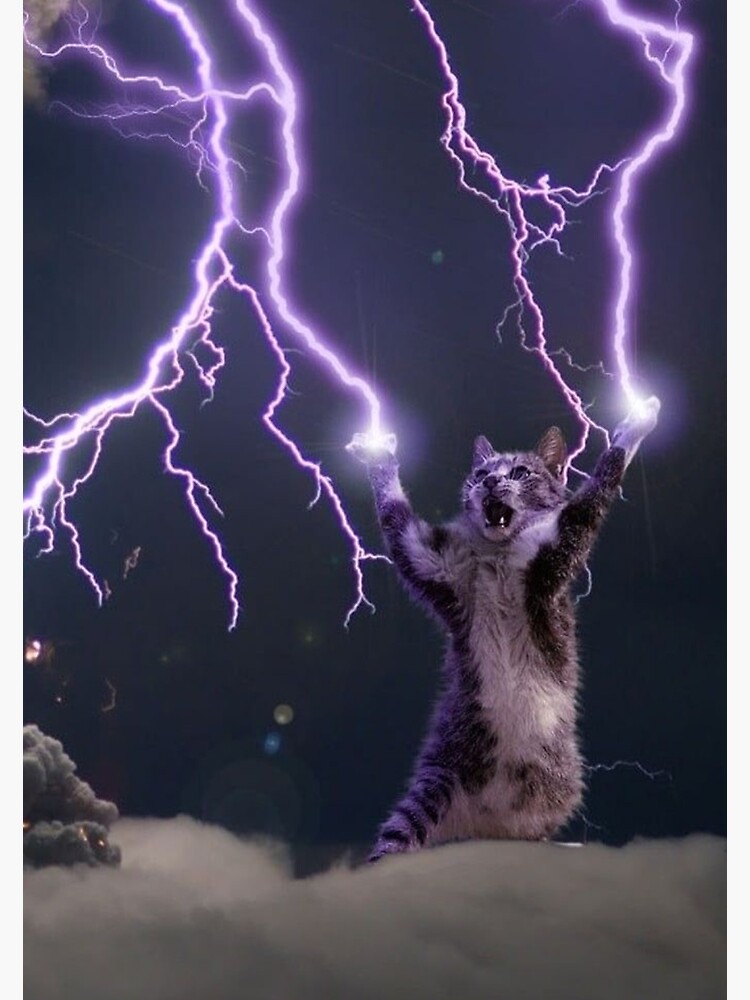 "Lightning cat" Poster by Muoti | Redbubble