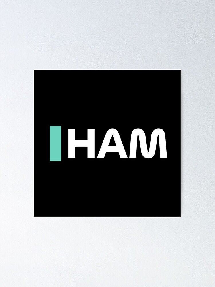 "F1 HAM Lewis Hamilton 2022" Poster for Sale by larsmeijer11 | Redbubble