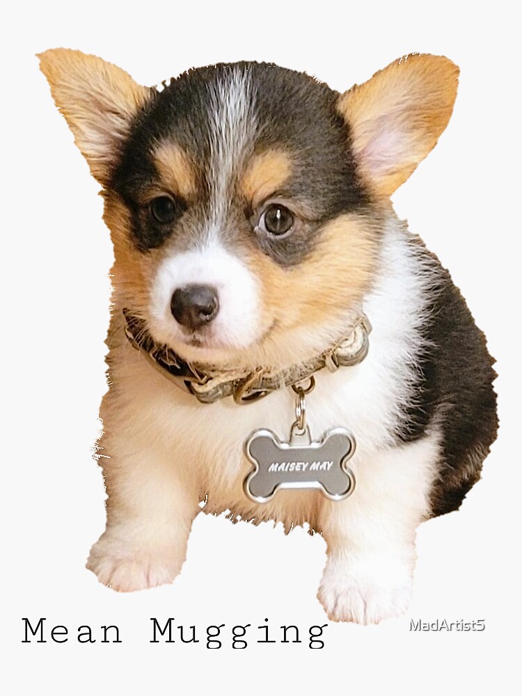 "Mean mugging" Sticker by MadArtist5 | Redbubble