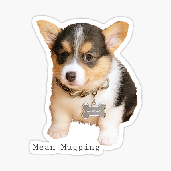 "Mean mugging" Sticker by MadArtist5 | Redbubble