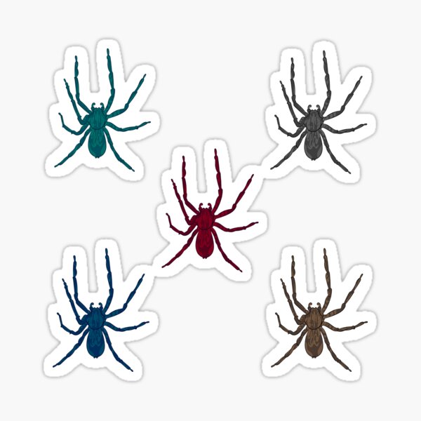"sticker pack - spider collection - Beautiful tarantula collection ...