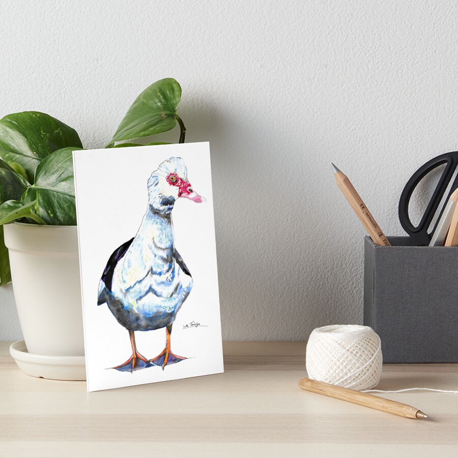 "Muscovy Duck - Watercolour" Art Board Print by lucafon18 | Redbubble