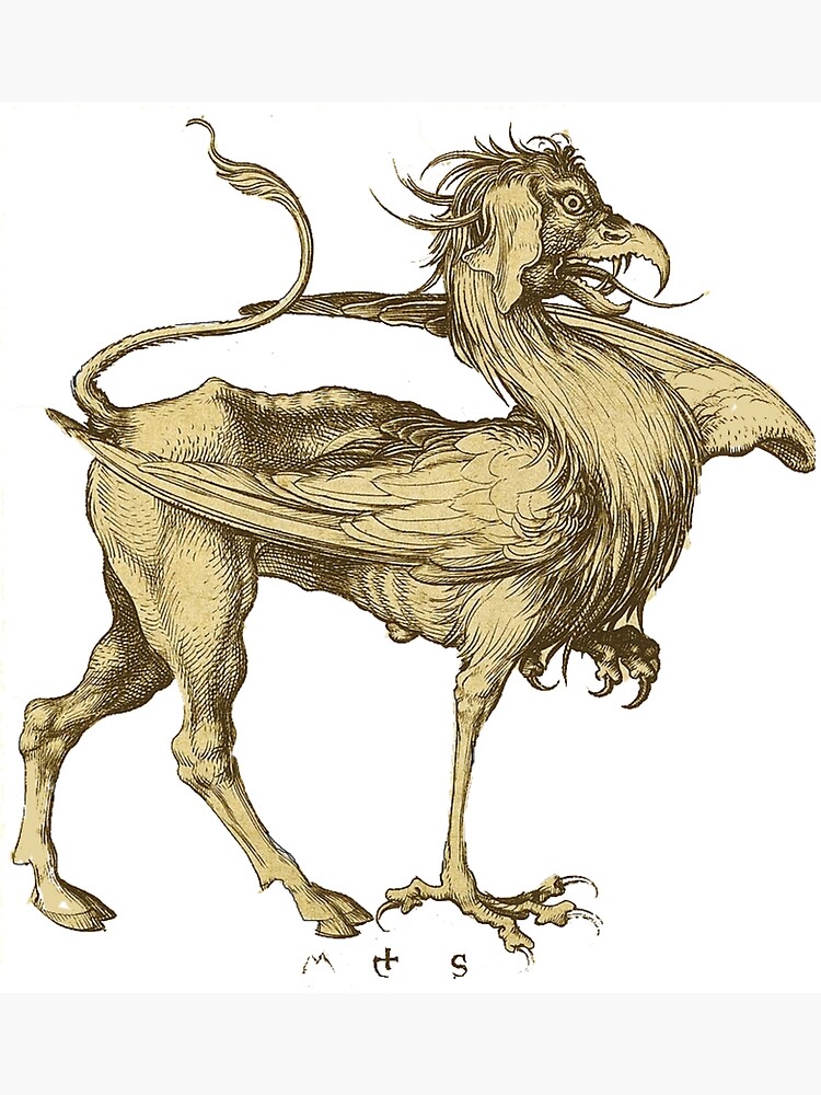 "Griffin Dragon German Medieval Artwork" Poster for Sale by ...
