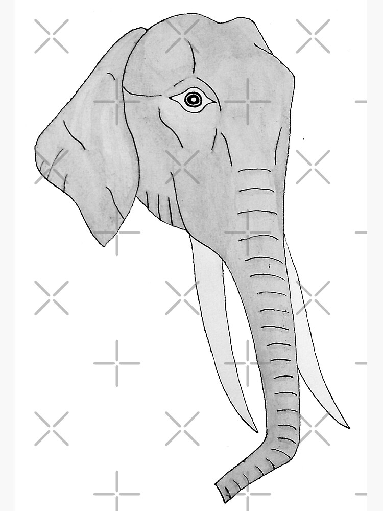 "Elephant head, ink illustration, black and white" Poster for Sale by ...