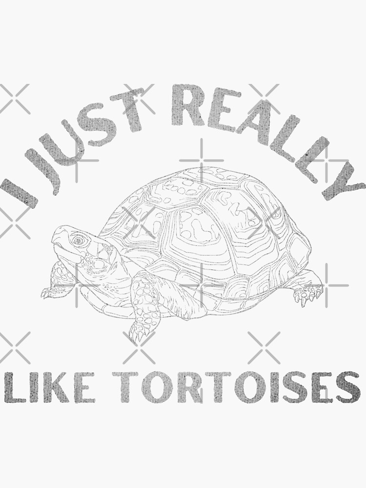 "funny i just really like tortoises , cute quote for animal and ...