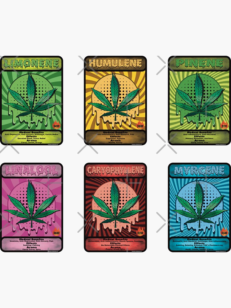 "The Most Common Cannabis Terpenes and their Benefits and Effects ...