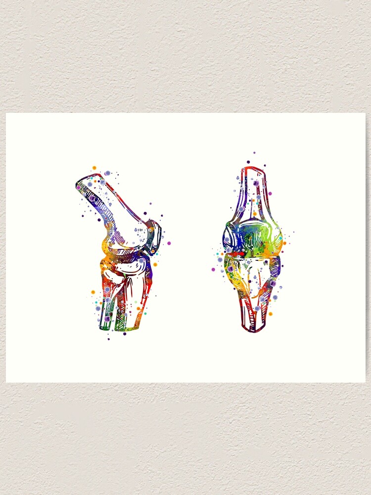 "Knee Joint Anatomy Watercolor Painting" Art Print by LotusGifts ...