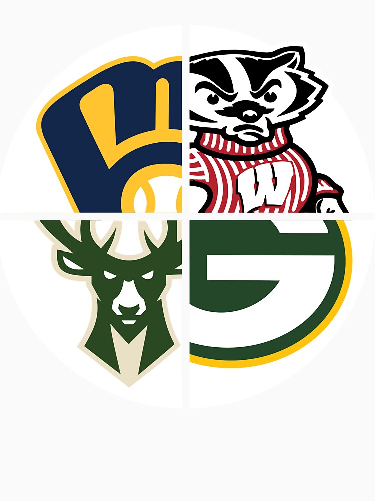Wisconsin Sports Logo Wisconsin Badgers Alternate Logo 1991 – 2017