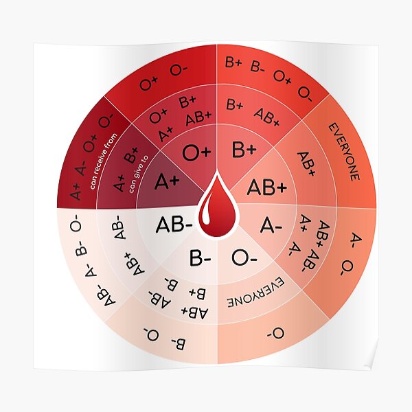 "Blood Type Wheel - Compatibility Chart" Poster for Sale by MayumiArt ...