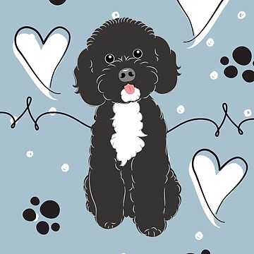 "LOVE Black White Poochon Bichon Poodle" Photographic Print for Sale by ...
