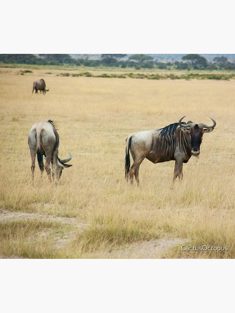 "Gnu" Sticker for Sale by CactusOctopus | Redbubble