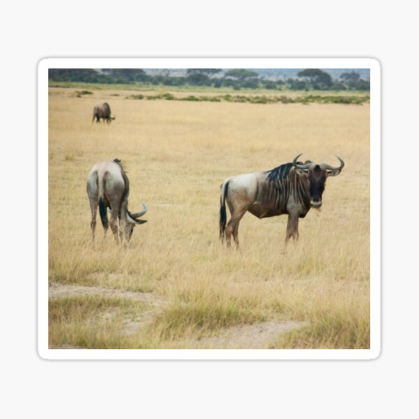 "Gnu" Sticker for Sale by CactusOctopus | Redbubble