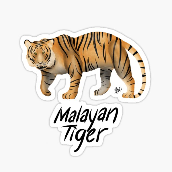 "Animals of Malaysia: Malayan Tiger" Sticker for Sale by mearecus ...