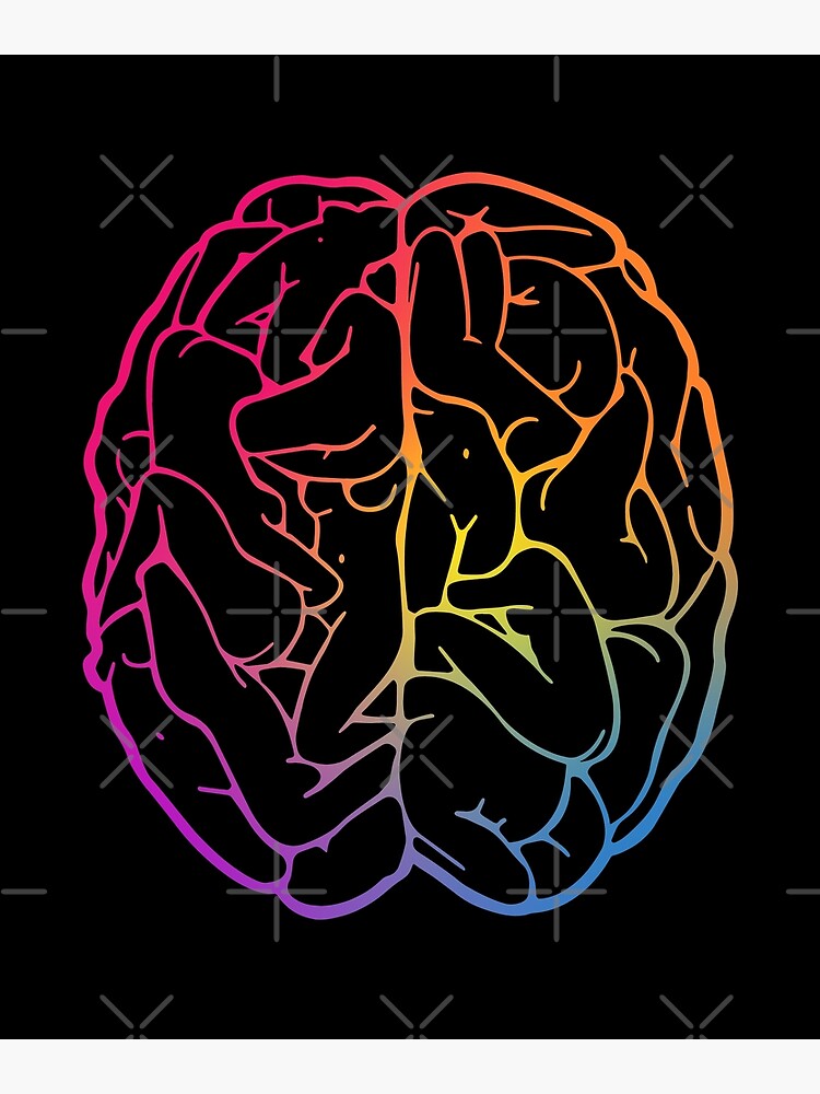 "Brain Anatomy Funny Understand Men One Track Mind Psychology" Poster ...