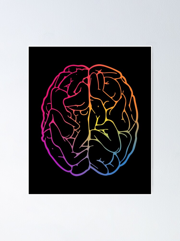 "Brain Anatomy Funny Understand Men One Track Mind Psychology" Poster ...