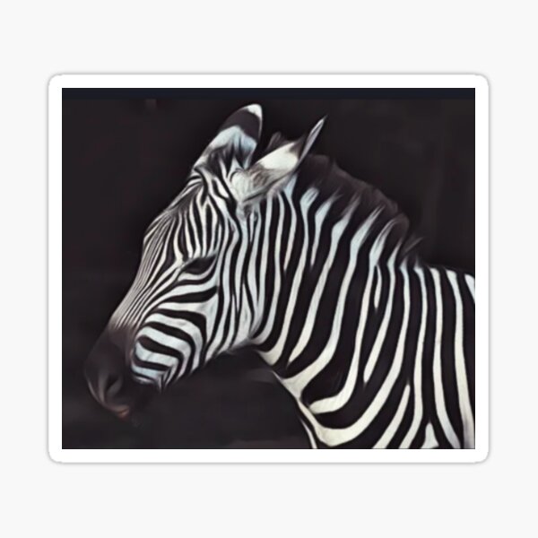 "Zebra" Sticker by 7Nanani | Redbubble